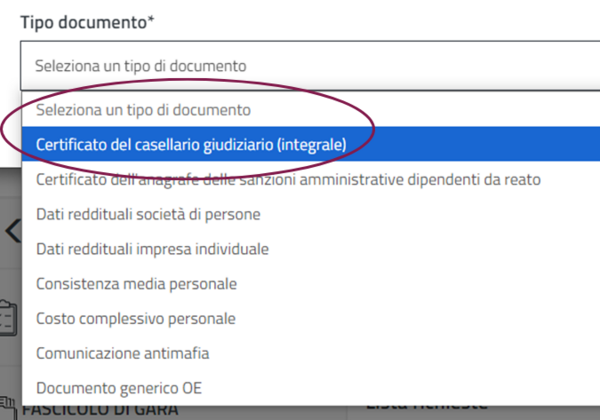 Fascicolo Virtuale Operatore Economico - Wiki Acquisti in rete PA
