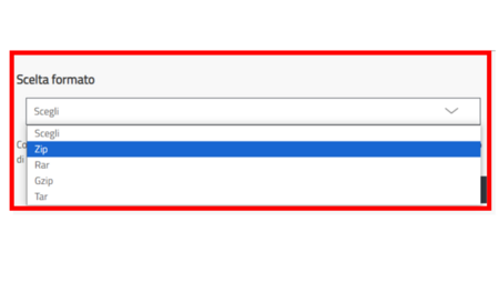 Fascicolo di Gara - Wiki Acquisti in rete PA
